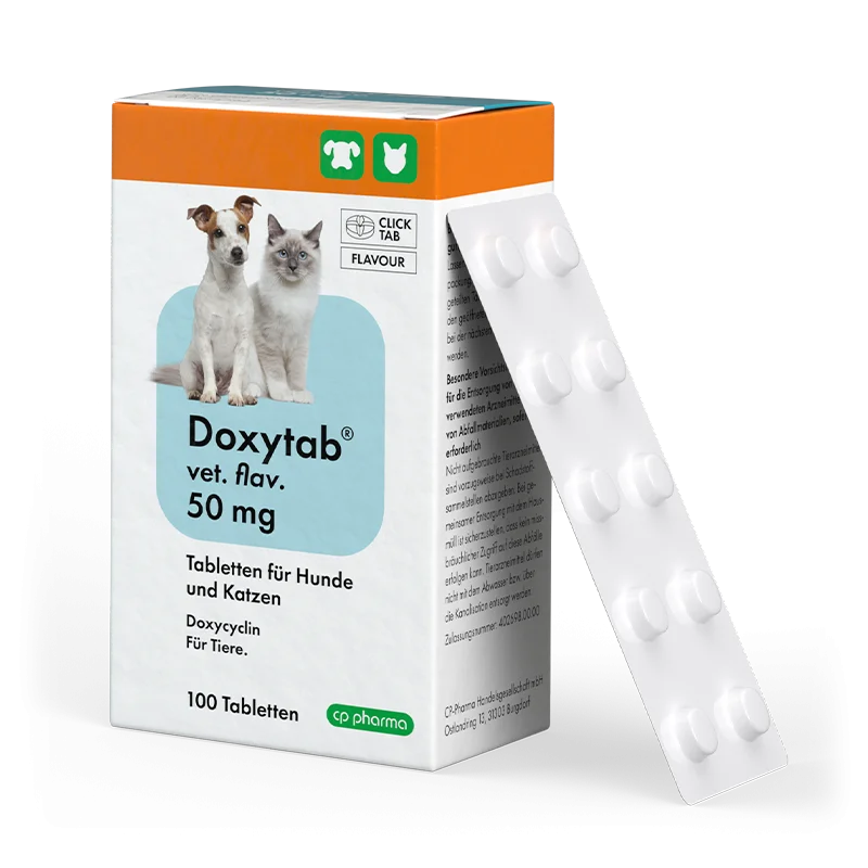 Doxytab vet. flav. 50 mg für Hunde und Katzen, 100 Tabl. | 304