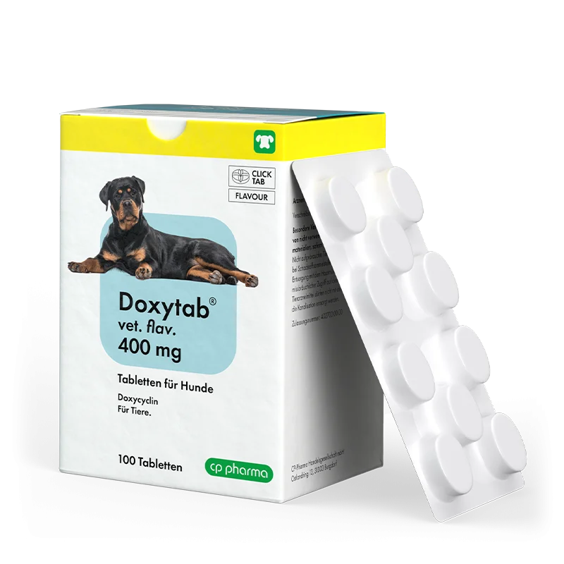 Doxytab vet. flav. 400 mg für Hunde, 100 Tabl. | 306