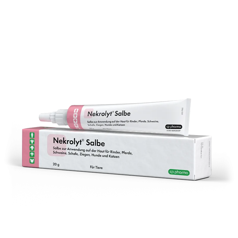 Nekrolyt Salbe, 20 g | 336