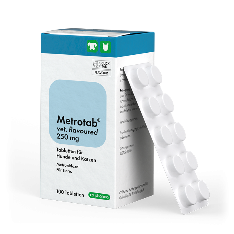 Metrotab vet. flavoured 250 mg, 100 Tabl. | 311
