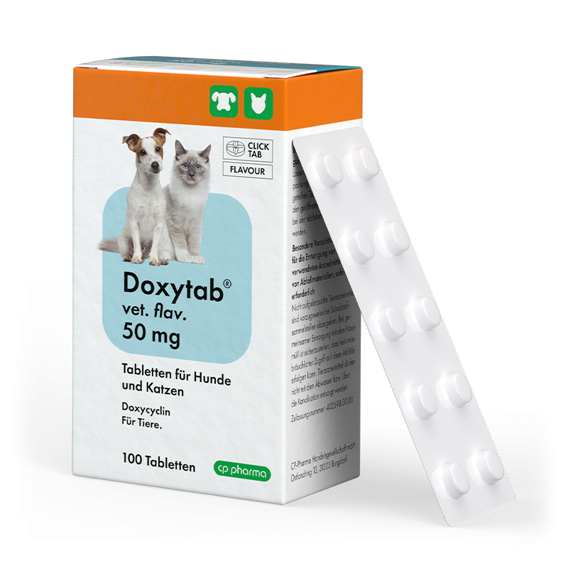 Doxytab vet. Flav. 50 mg für Hunde und Katzen, 100 Tabl. | 304