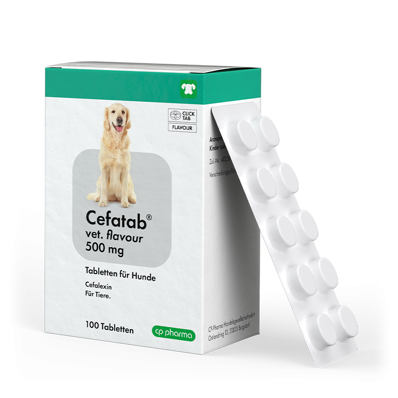 Cefatab vet. flavour 500 mg Tabletten für Hunde, 100 Tabletten | 302